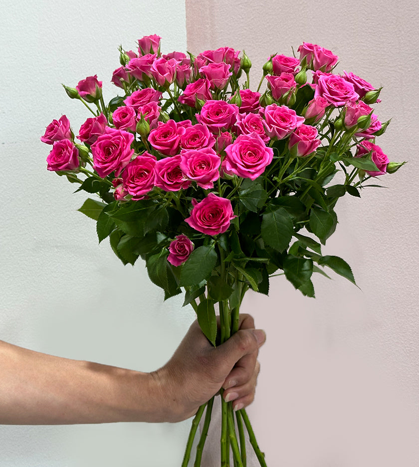 The Proposal VIP Box